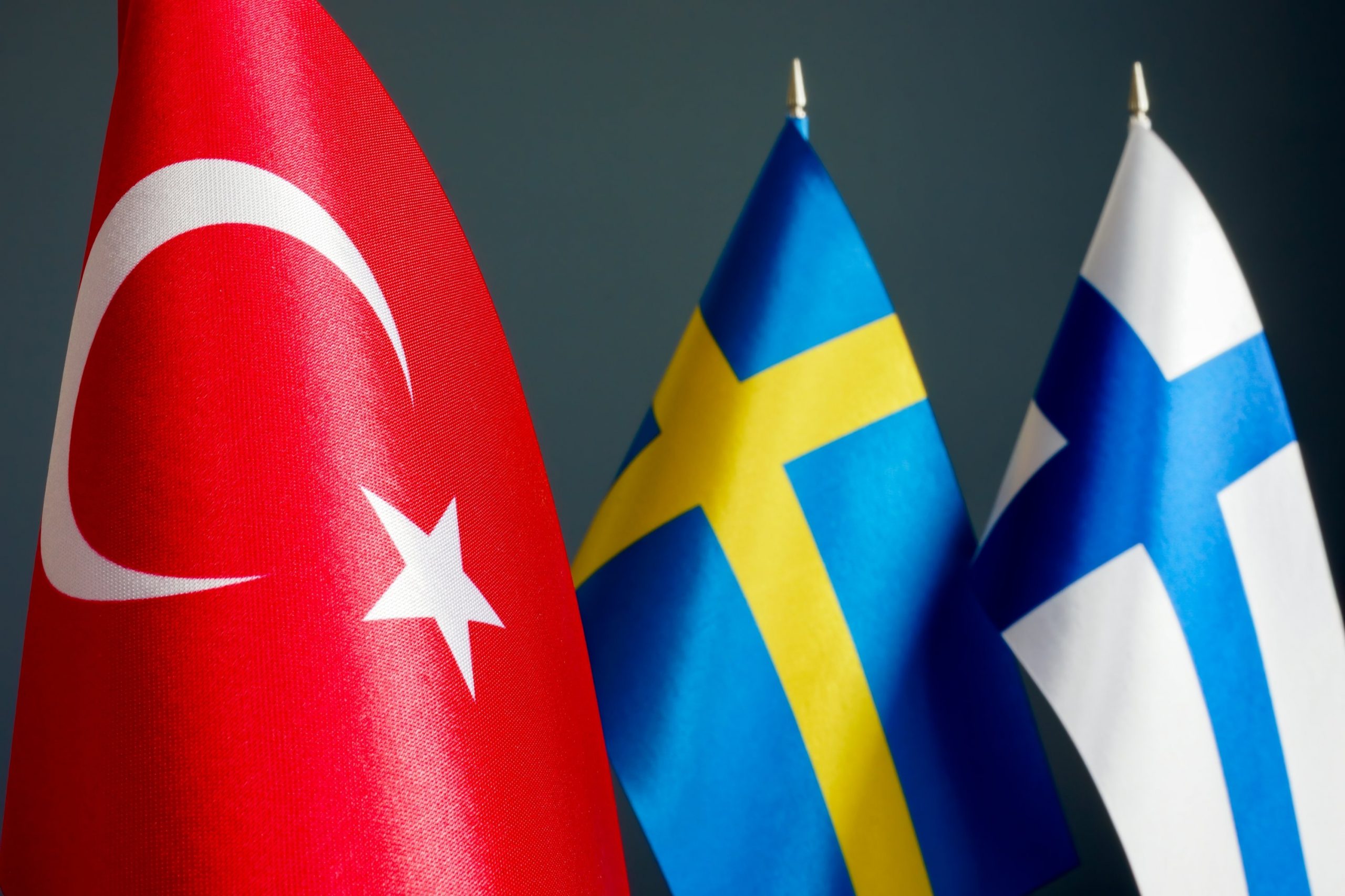 THE RETURN OF GEOPOLITICS; WHAT TURKEY WANTS FROM SWEDEN AND FINLAND ...